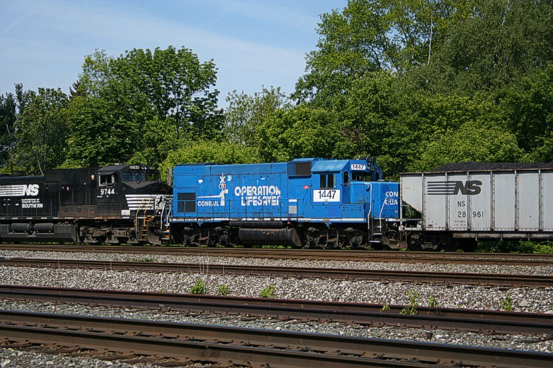 NS 1447